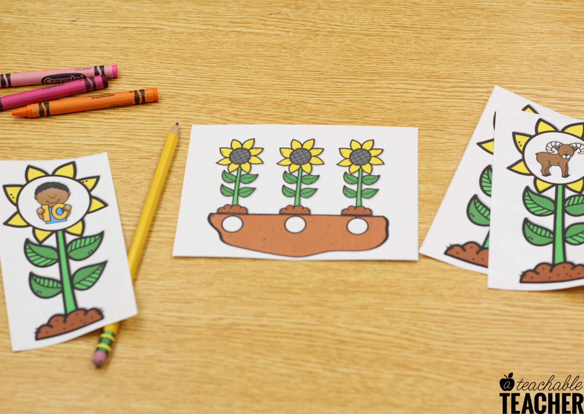 September Sunflower Sounds Phonemic Awareness Activities: Segmenting ...