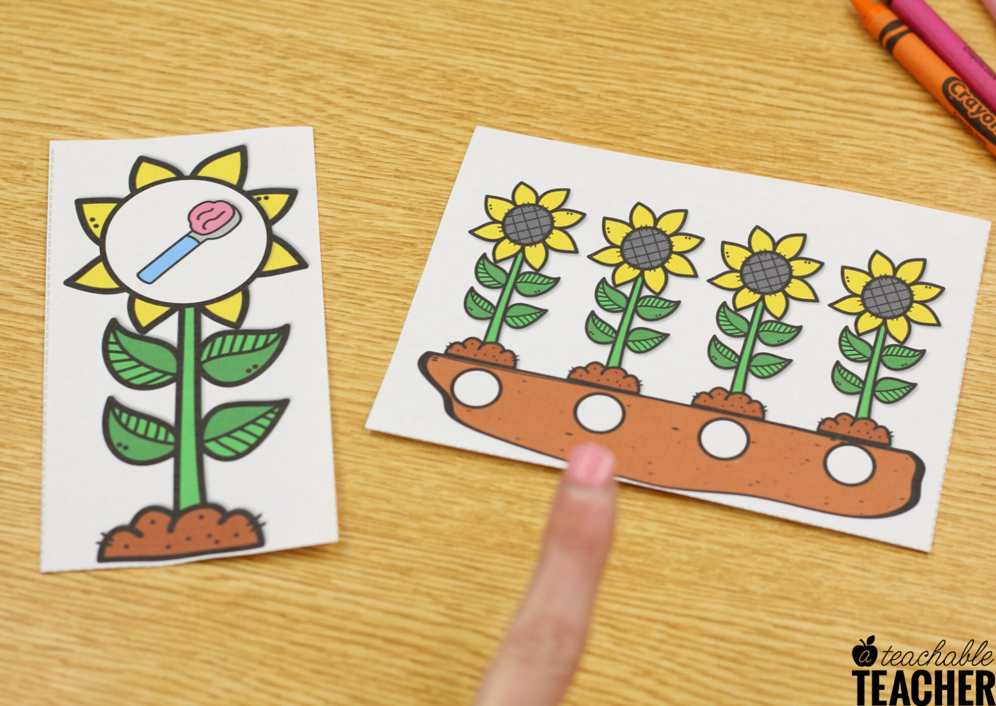 September Sunflower Sounds Phonemic Awareness Activities: Segmenting ...